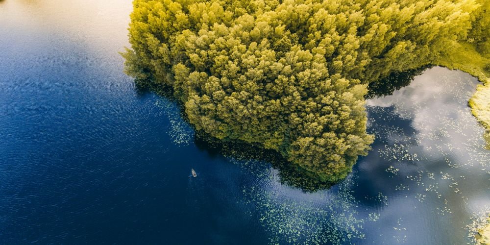 MediTro - Doctor, Medical & Healthcare HTML Template